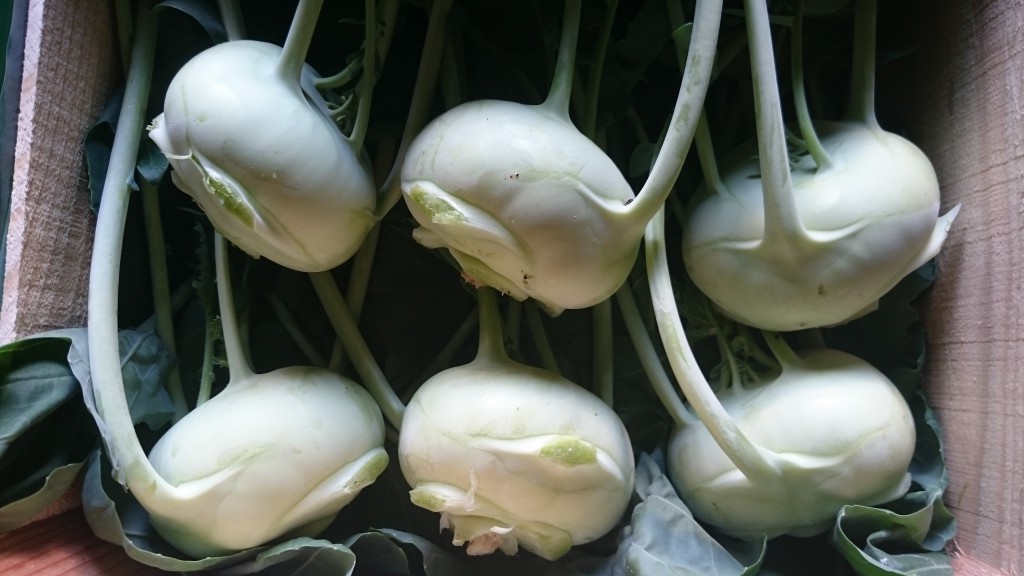 comment cuisiner le chou rave - Du goût dans mon panier