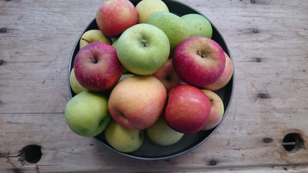 melting pot de pommes - Du goût dans mon panier